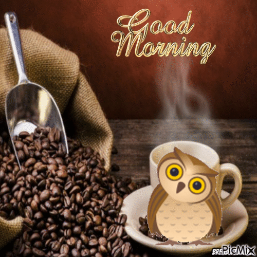 Good Morning Owl Animated Image Pictures, Photos, and Images for ...