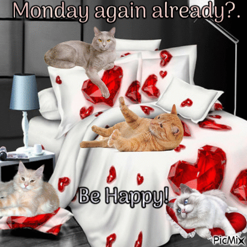 Monday Again Already? Pictures, Photos, and Images for Facebook, Tumblr ...