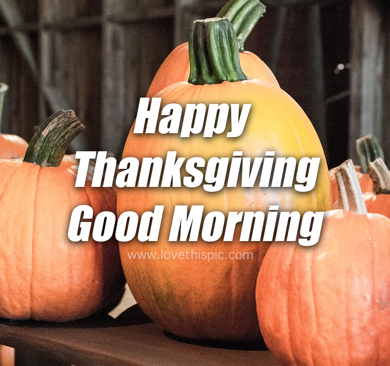 Pumpkin Happy Thanksgiving Good Morning Quote Pictures, Photos, and ...