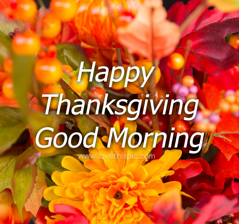 Fall Flower Happy Thanksgiving, Good Morning Pictures, Photos, and ...