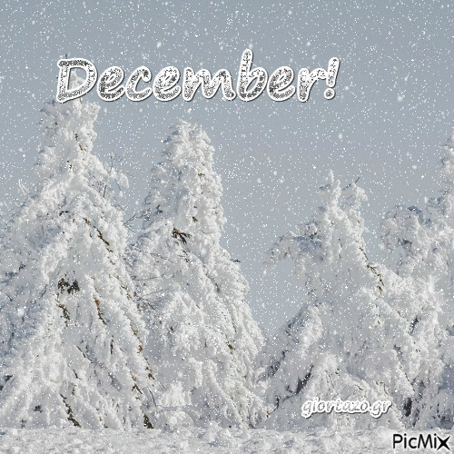 December Snow Tree Gif Pictures, Photos, and Images for Facebook ...