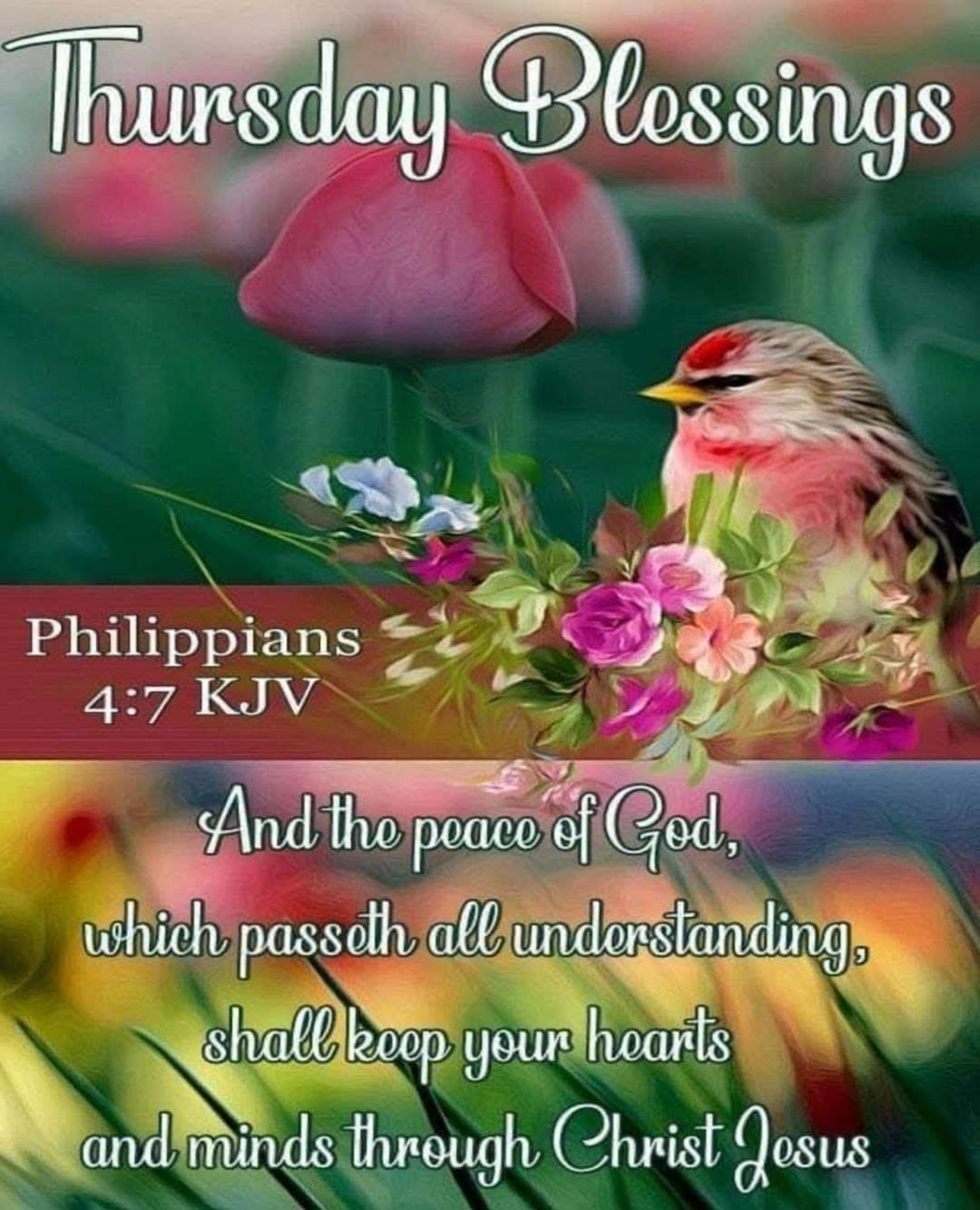 Peace Of God Thursday Blessings Pictures, Photos, and Images for ...