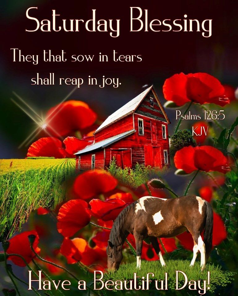 They That Sow In Tears Shall Reap In Joy Pictures, Photos, and Images ...