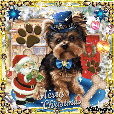 Yorkie & Santa Merry Christmas Gif Pictures, Photos, and Images for ...