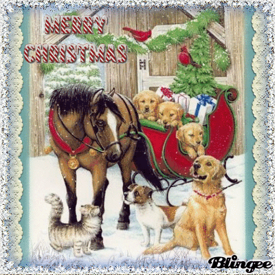 Animal Merry Christmas Gif Pictures, Photos, and Images for Facebook ...