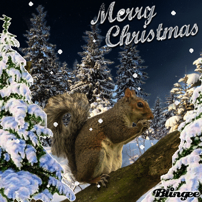 Squirrel Merry Christmas Gif Pictures, Photos, and Images for Facebook ...