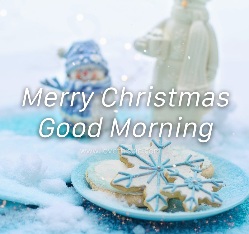 Snowflake Cookies Merry Christmas Good Morning Quote Pictures, Photos ...