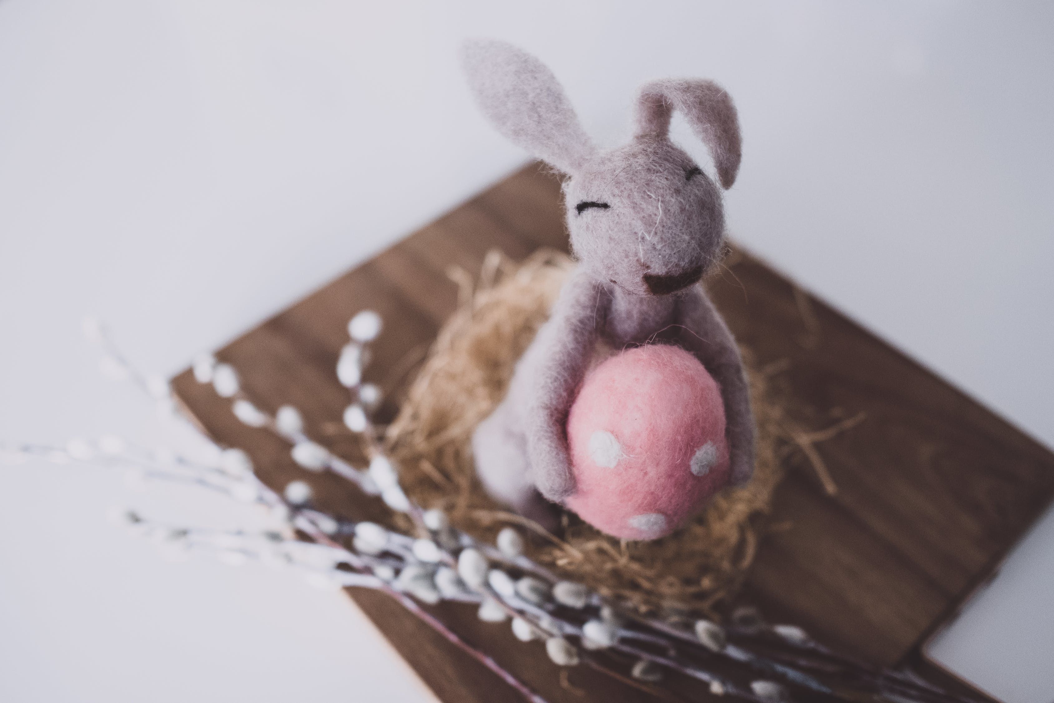 Plush Bunny Pictures, Photos, and Images for Facebook, Tumblr ...