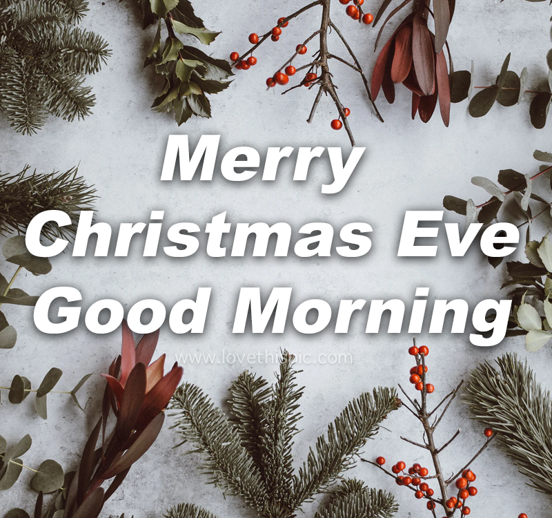 Leaves Merry Christmas Eve Morning Quote Pictures, Photos, and Images ...