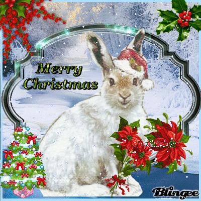 Merry Christmas Bunny Gif Pictures, Photos, and Images for Facebook ...