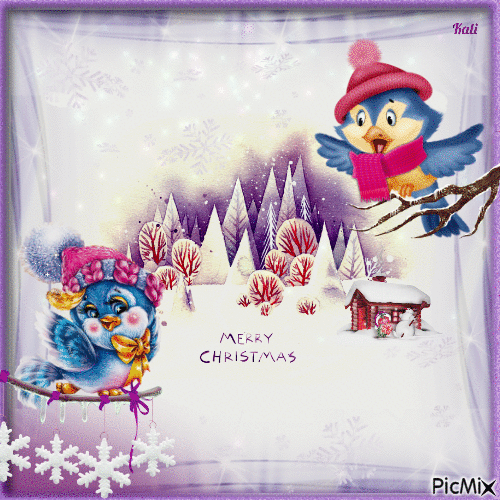 Happy Birds Merry Christmas Pictures, Photos, and Images for Facebook ...