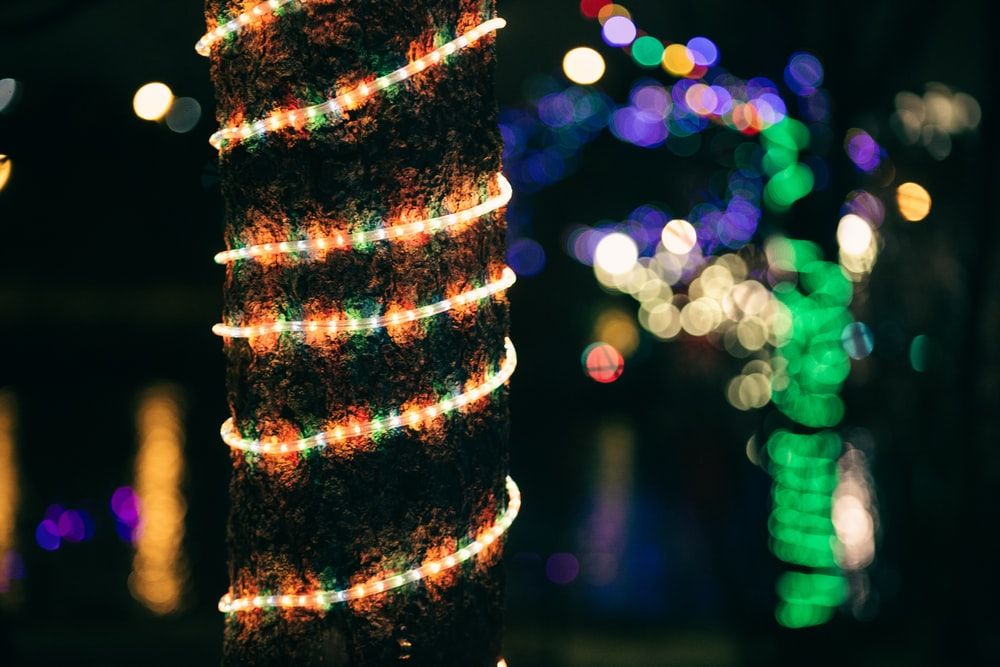 String Lights Wrapped Around Tree Pictures, Photos, and Images for ...
