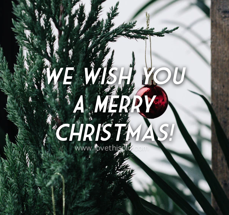 Pine Christmas Tree Merry Christmas Wishes Pictures, Photos, and Images ...