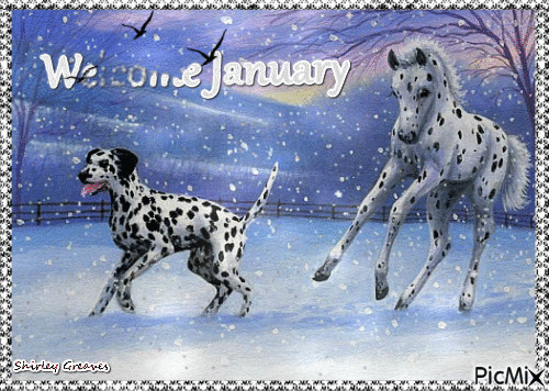 Dalmatian Welcome January Gif Pictures, Photos, and Images for Facebook ...