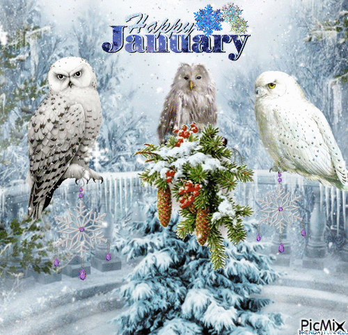 Happy January Pictures, Photos, and Images for Facebook, Tumblr ...