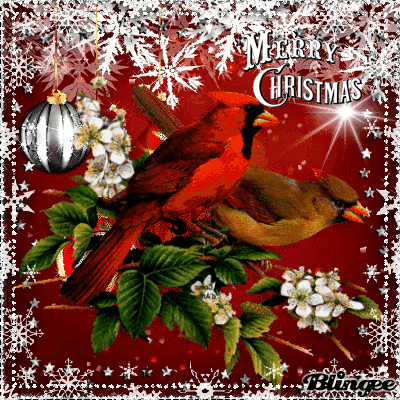 Cardinal Merry Christmas Gif Pictures, Photos, and Images for Facebook ...