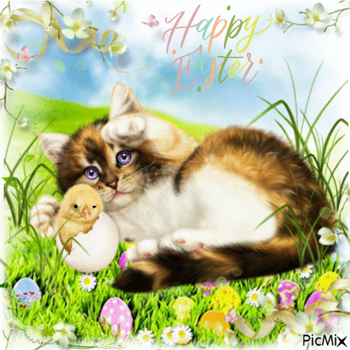Happy Easter Kitty Gif Pictures, Photos, and Images for Facebook ...