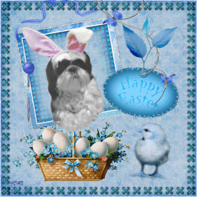 Dog Bunny Happy Easter Gif Pictures, Photos, and Images for Facebook ...