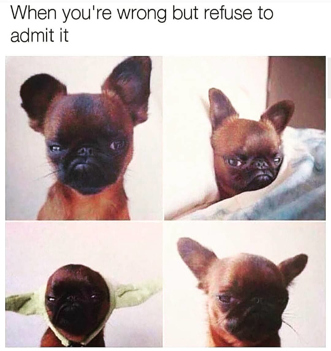 When You're Wrong But Refuse To Admit It Pictures, Photos, and Images ...