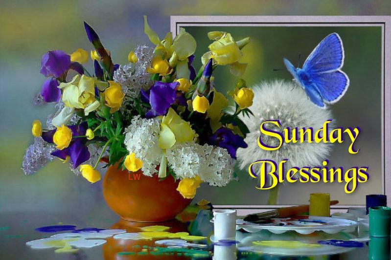 Butterfly Floral Sunday Blessings Pictures, Photos, and Images for ...