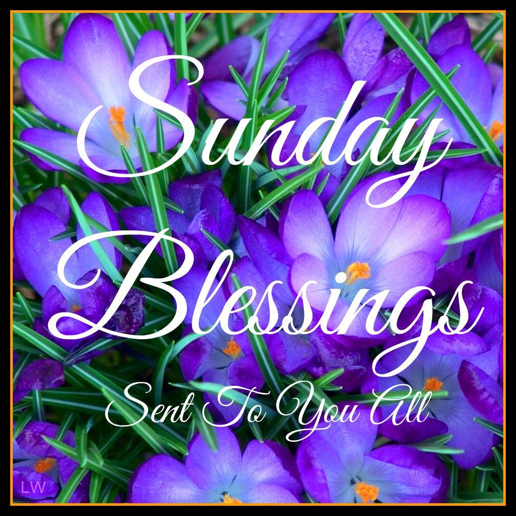 Sent To You All, Sunday Blessings Pictures, Photos, and Images for ...