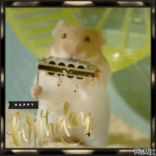 Funny Birthday Hamsters
