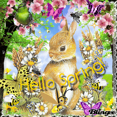 Bunny Hello Spring Animated Quote Pictures, Photos, and Images for ...