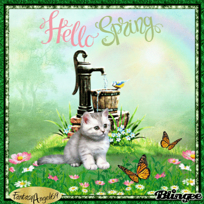 Kitty Well Hello Spring Pictures, Photos, and Images for Facebook ...