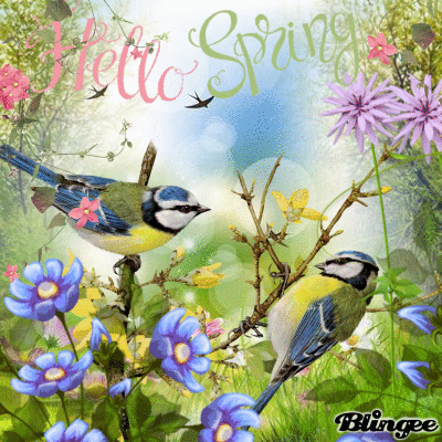 Hello Spring Birds Pictures, Photos, and Images for Facebook, Tumblr ...