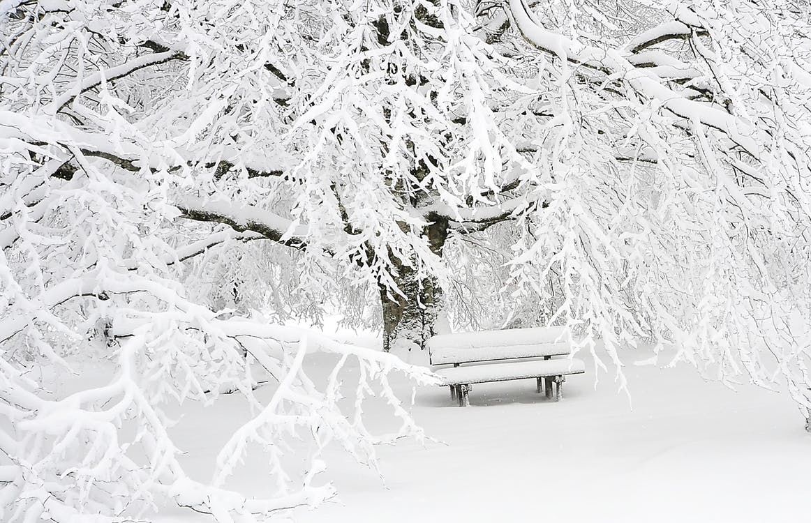 Bench Covered In Snow Pictures, Photos, and Images for Facebook, Tumblr ...