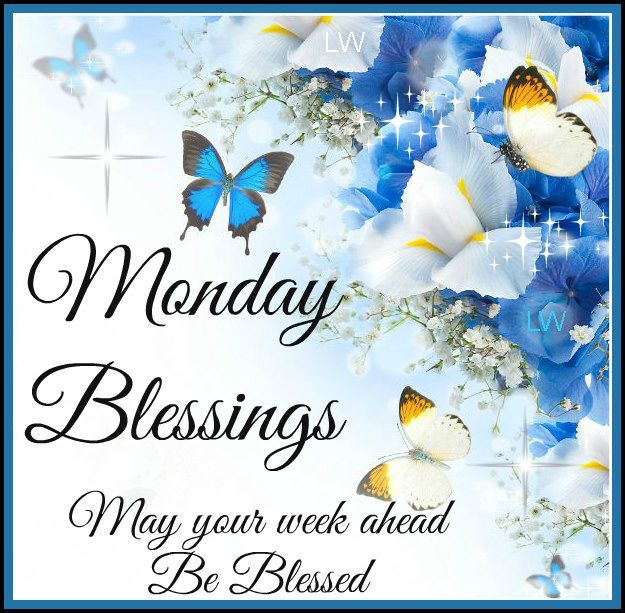 Beautiful Butterfly Monday Blessings Pictures, Photos, and Images for ...