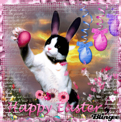 Rabbit Cat Happy Easter Pictures, Photos, and Images for Facebook ...