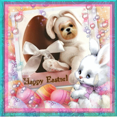 Happy Easter Dog Bunny Gif Pictures, Photos, and Images for Facebook ...