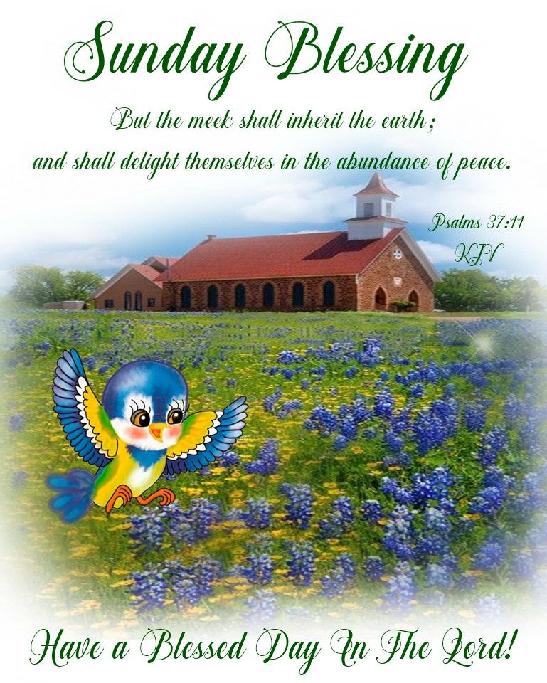 Meek Shall Inherit The Earth Pictures, Photos, and Images for Facebook ...