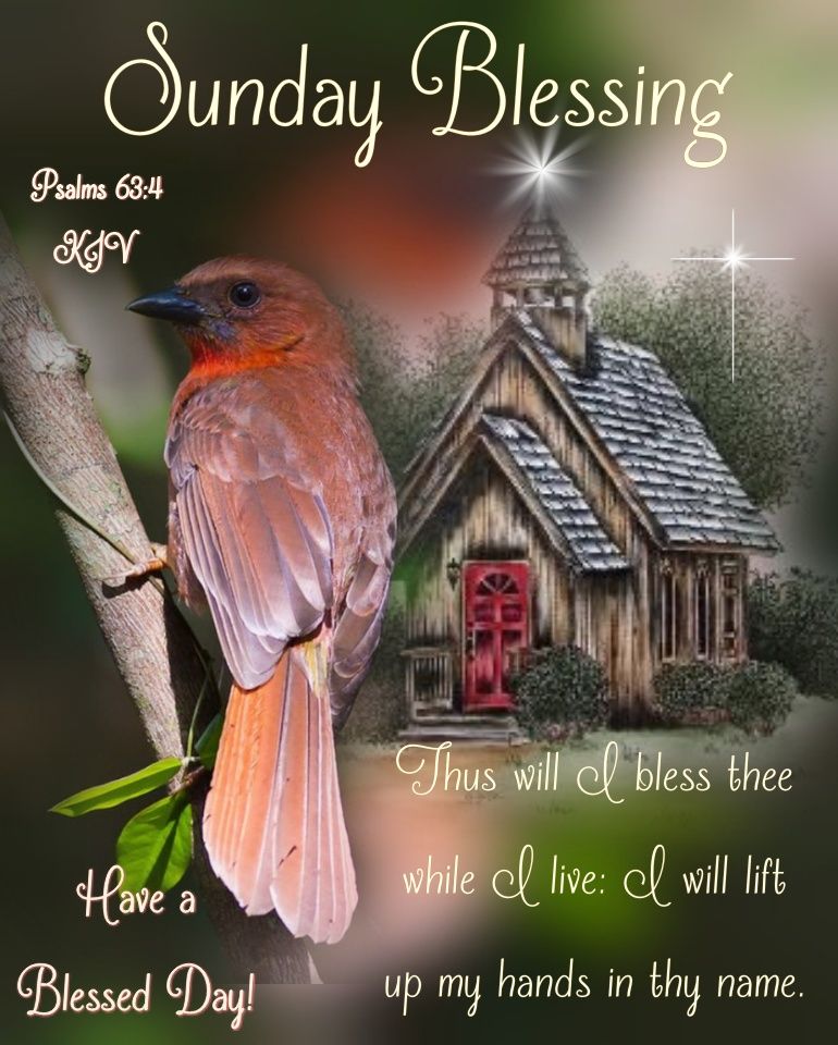 Thus I Will Bless Thee While I Live Pictures, Photos, and Images for ...