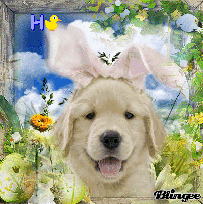 Happy Easter Dog Pictures, Photos, and Images for Facebook, Tumblr ...