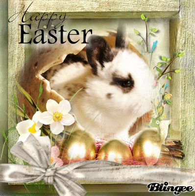 Baby Bunny Inside Egg - Happy Easter Pictures, Photos, and Images for ...