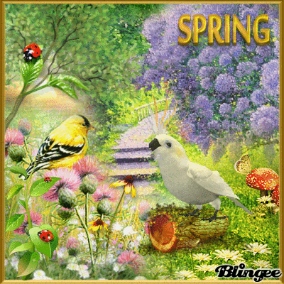 Birdy Spring Gif Pictures, Photos, and Images for Facebook, Tumblr ...
