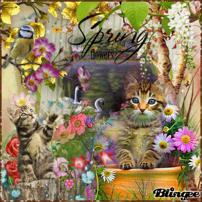 Spring Flowers Pictures, Photos, and Images for Facebook, Tumblr ...