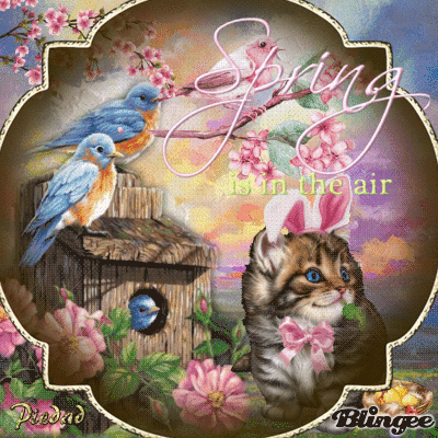 Spring Is In The Air Pictures, Photos, and Images for Facebook, Tumblr ...