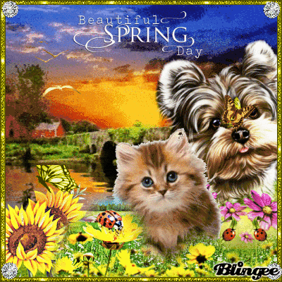 Beautiful Spring Day Pictures, Photos, and Images for Facebook, Tumblr ...