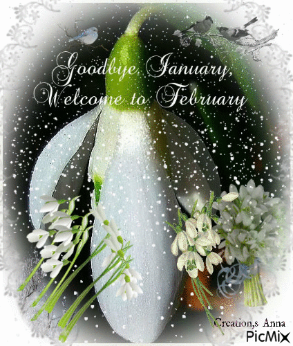 Welcome To February Pictures, Photos, and Images for Facebook, Tumblr ...