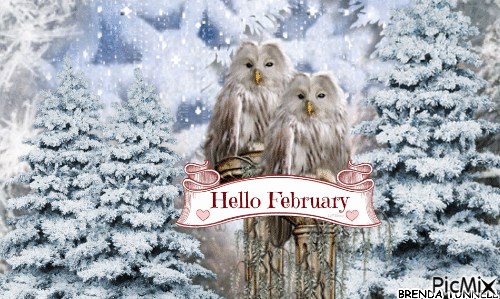 Double Owl February Pictures, Photos, and Images for Facebook, Tumblr ...