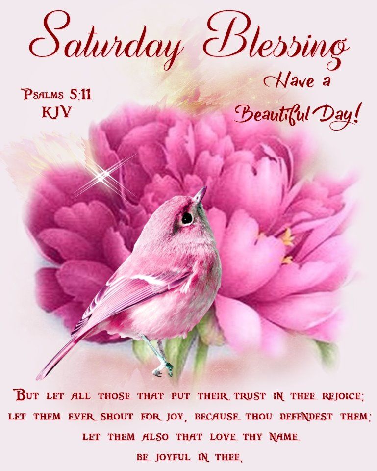 Pink Bird Saturday Blessing Pictures, Photos, and Images for Facebook ...