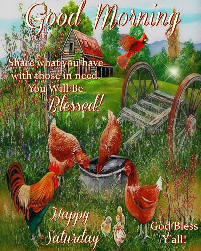 Rooster Good Morning Saturday Pictures, Photos, and Images for Facebook ...