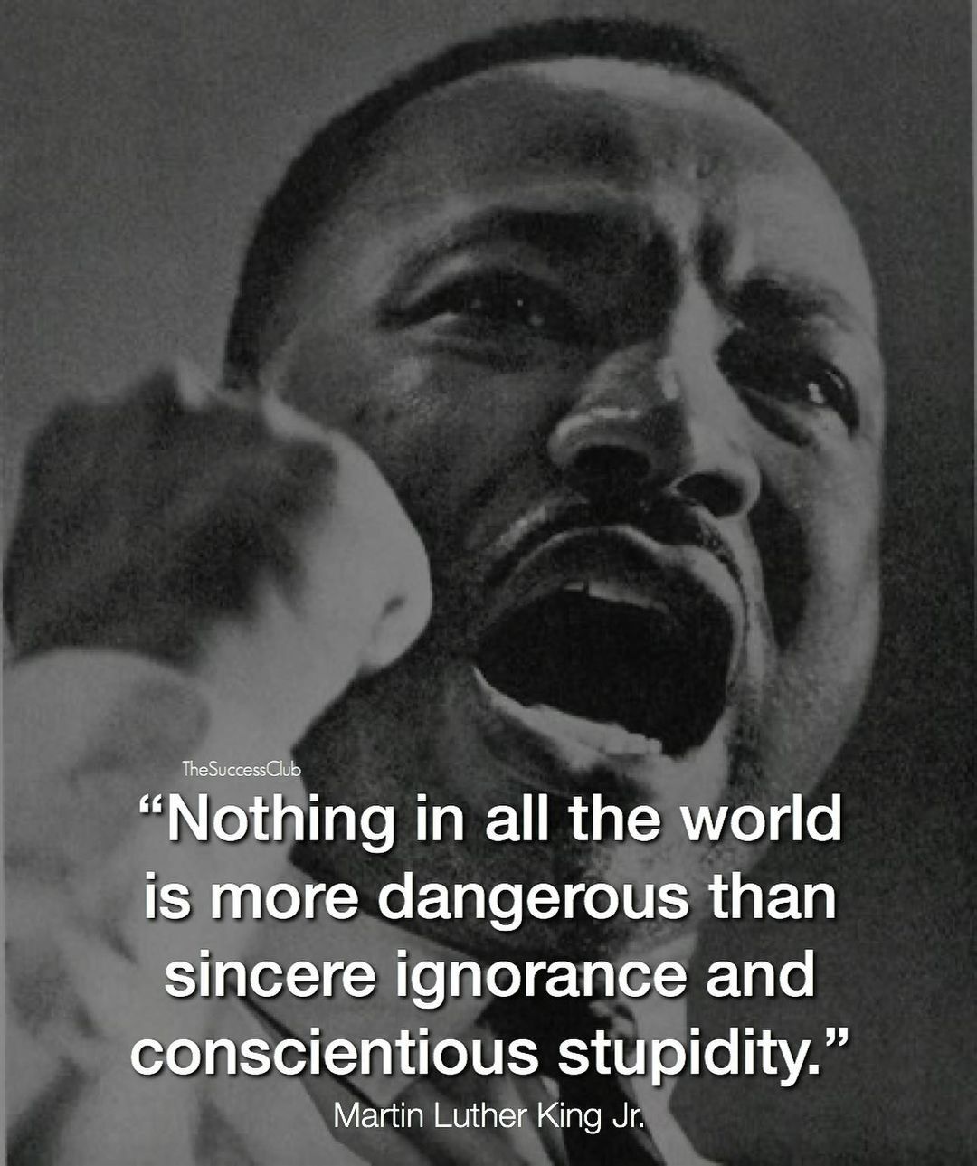 Ignorance And Conscientious Stupidity Pictures, Photos, and Images for ...