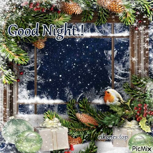 Good Night Pinecone Winter Quote Pictures, Photos, and Images for ...