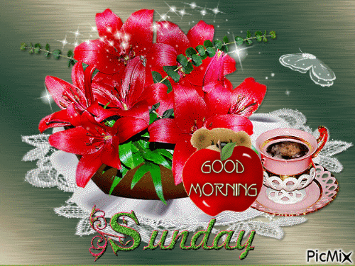 Red Flower Good Morning Sunday Pictures, Photos, and Images for ...