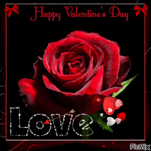 Blossoming Rose Valentine's Day Pictures, Photos, and Images for ...