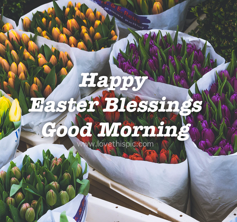 Assorted Tulips Happy Easter Blessings, Good Morning Pictures, Photos ...